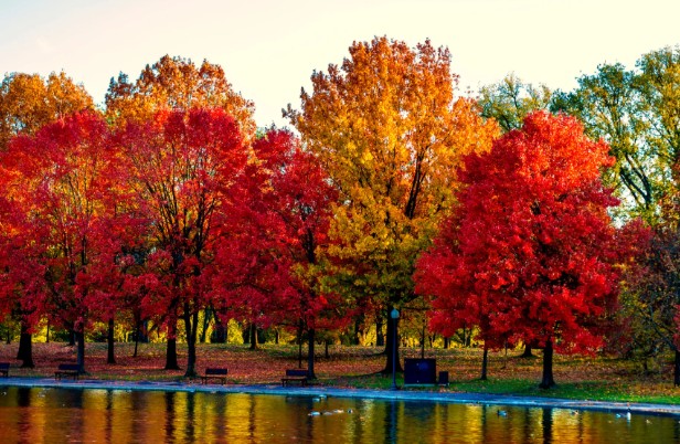 Autumn Folk Magic & Lore: Embracing the Season of Transformation ...